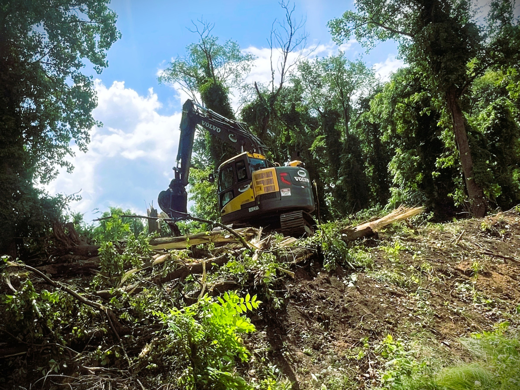 Brush clearing 3 | Team 1 Plastics